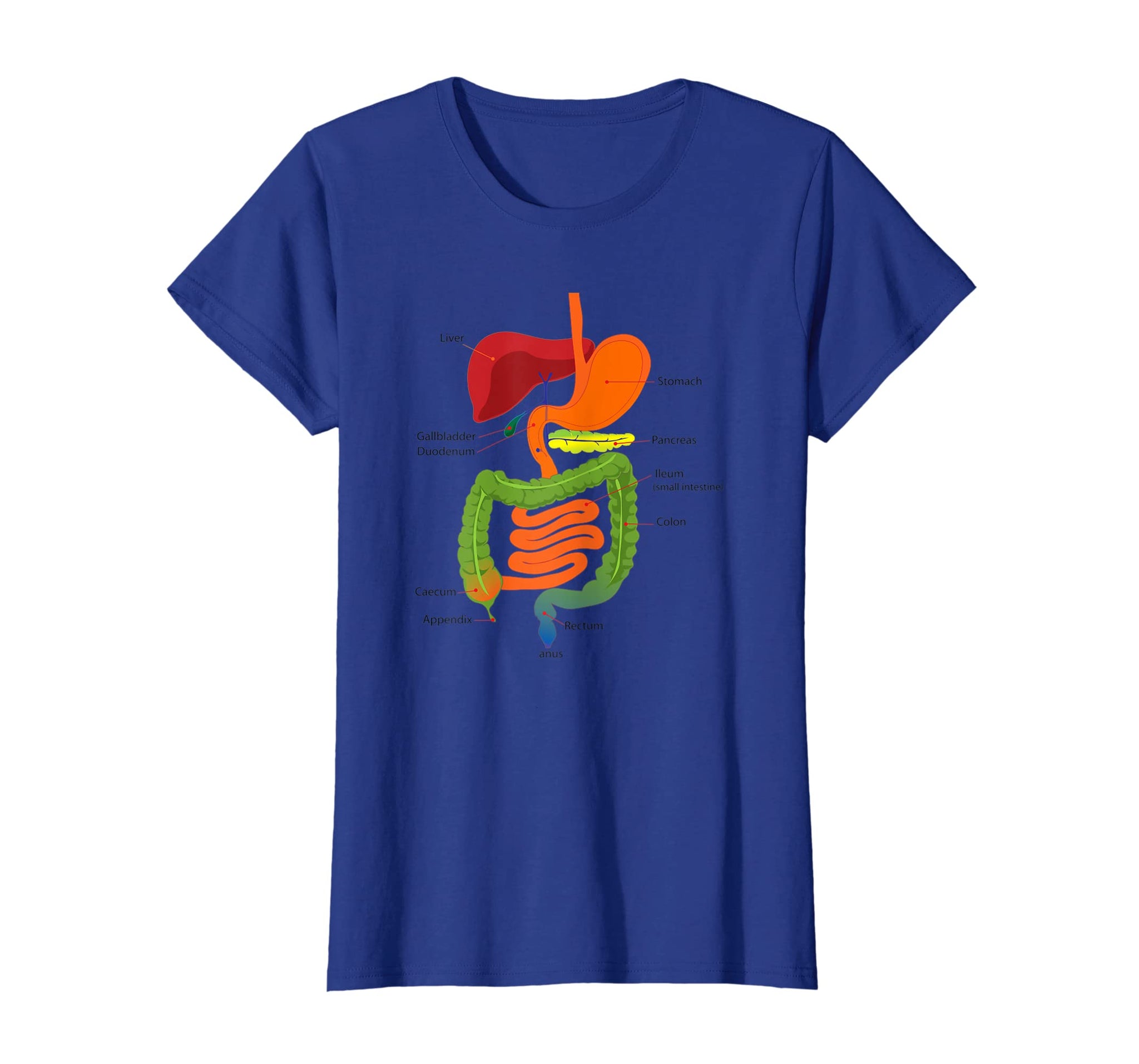 Digestive System medical biology science anatomy t-shirt tee New ...