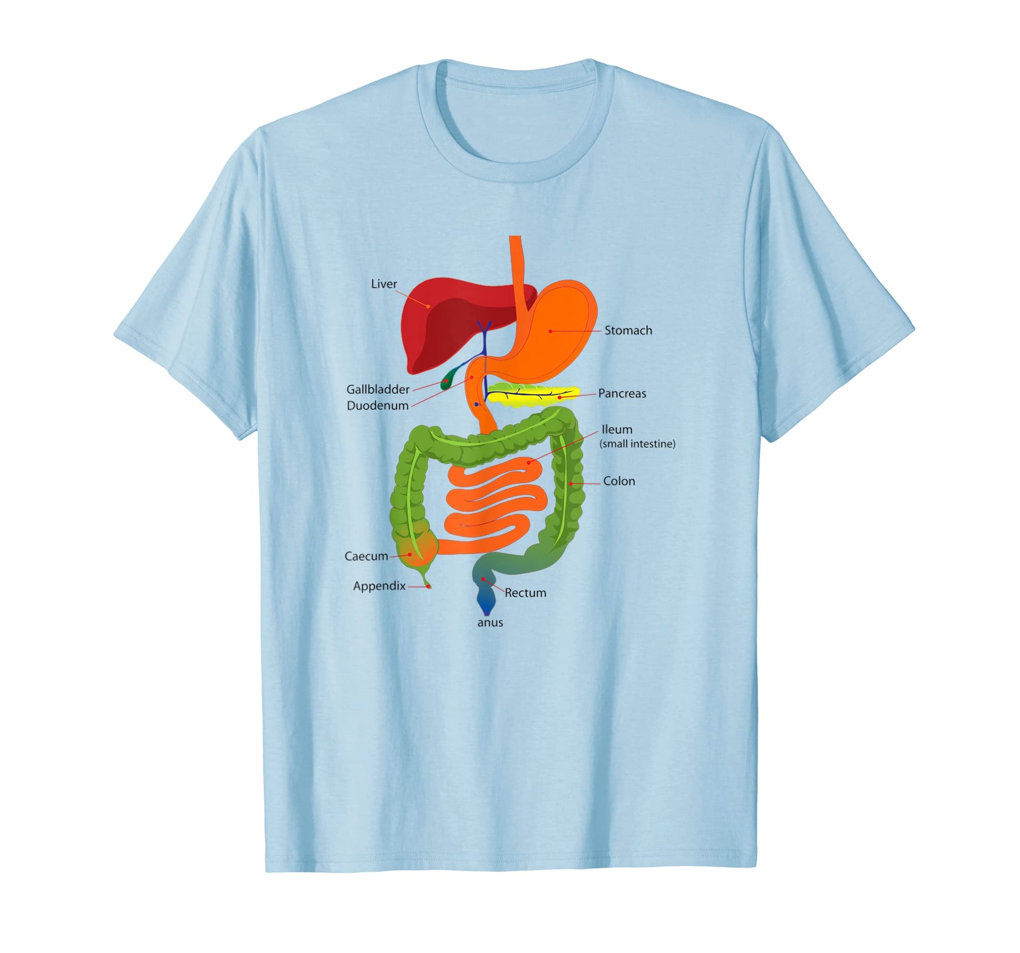 Digestive System medical biology science anatomy t-shirt tee New ...